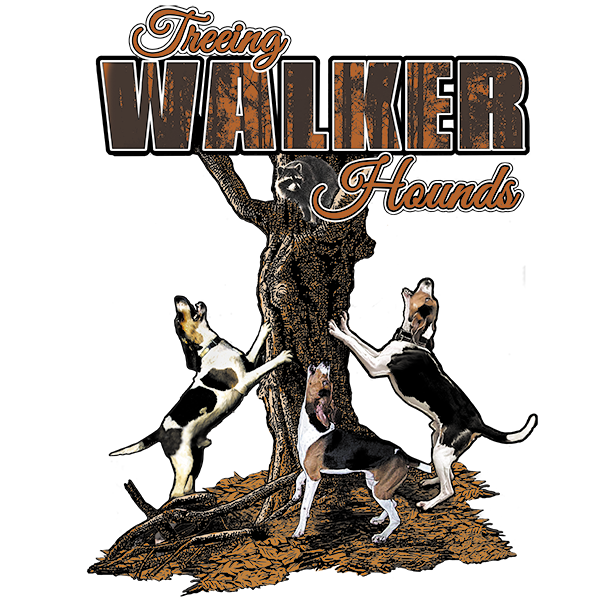 12 Inch Stickers-Dixie - SandB's Tees