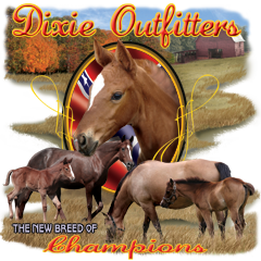 Dixie Outfitters Page 15 - SandB's Tees